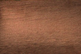 The TAXA Wood Gallery