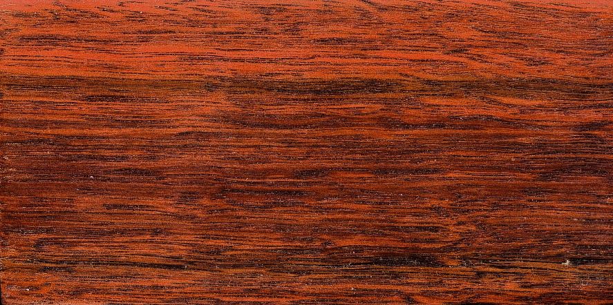 The TAXA Wood Gallery